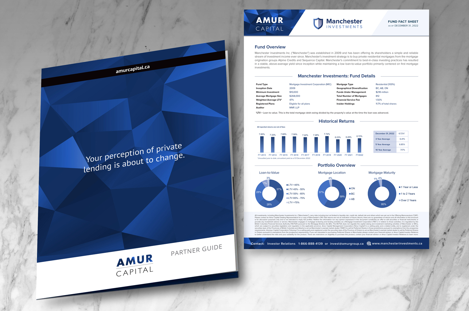 Case Study: AMUR Capital - Daxio Design
